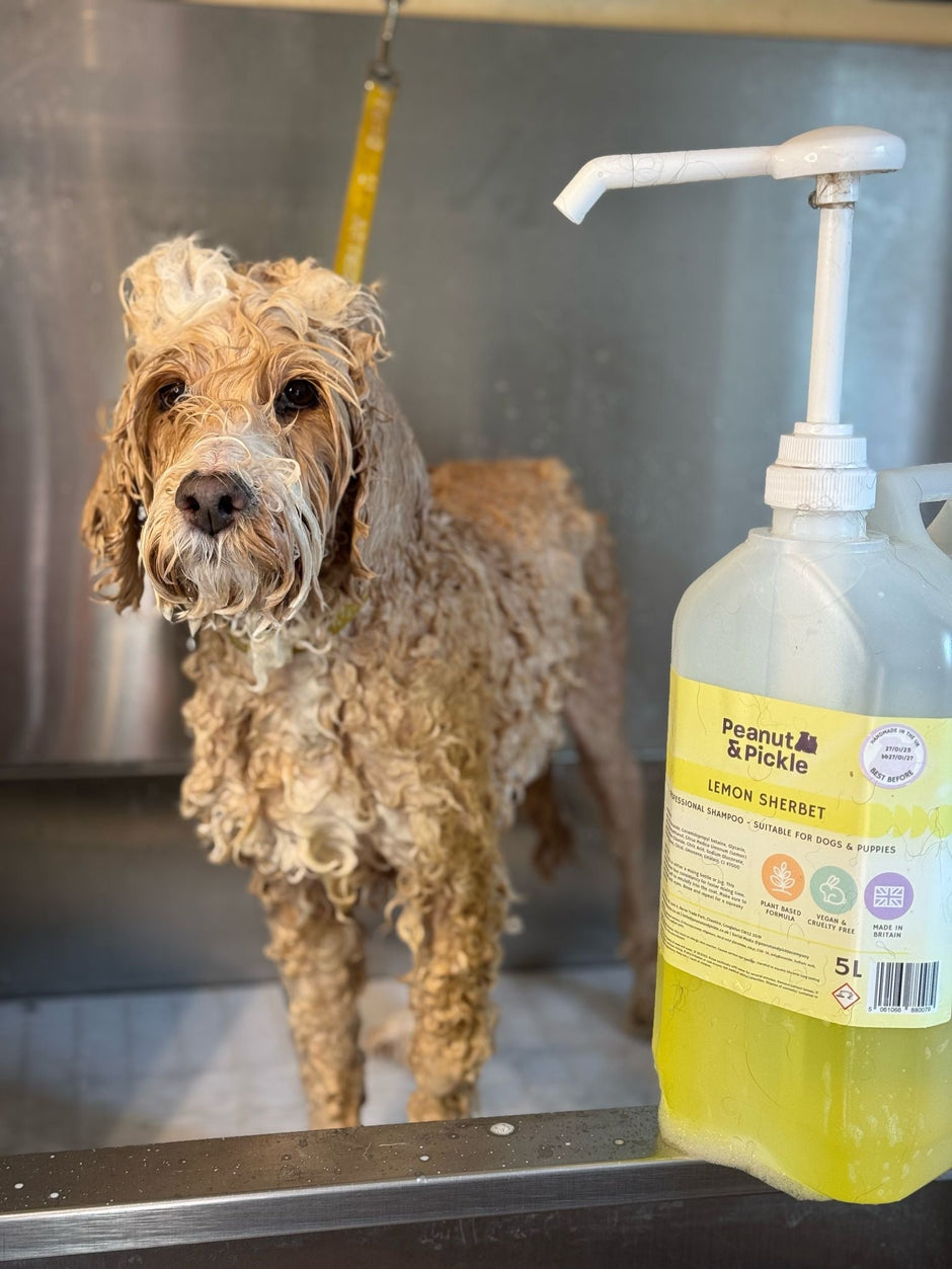 Peanut and Pickle | Handmade Canine Skincare