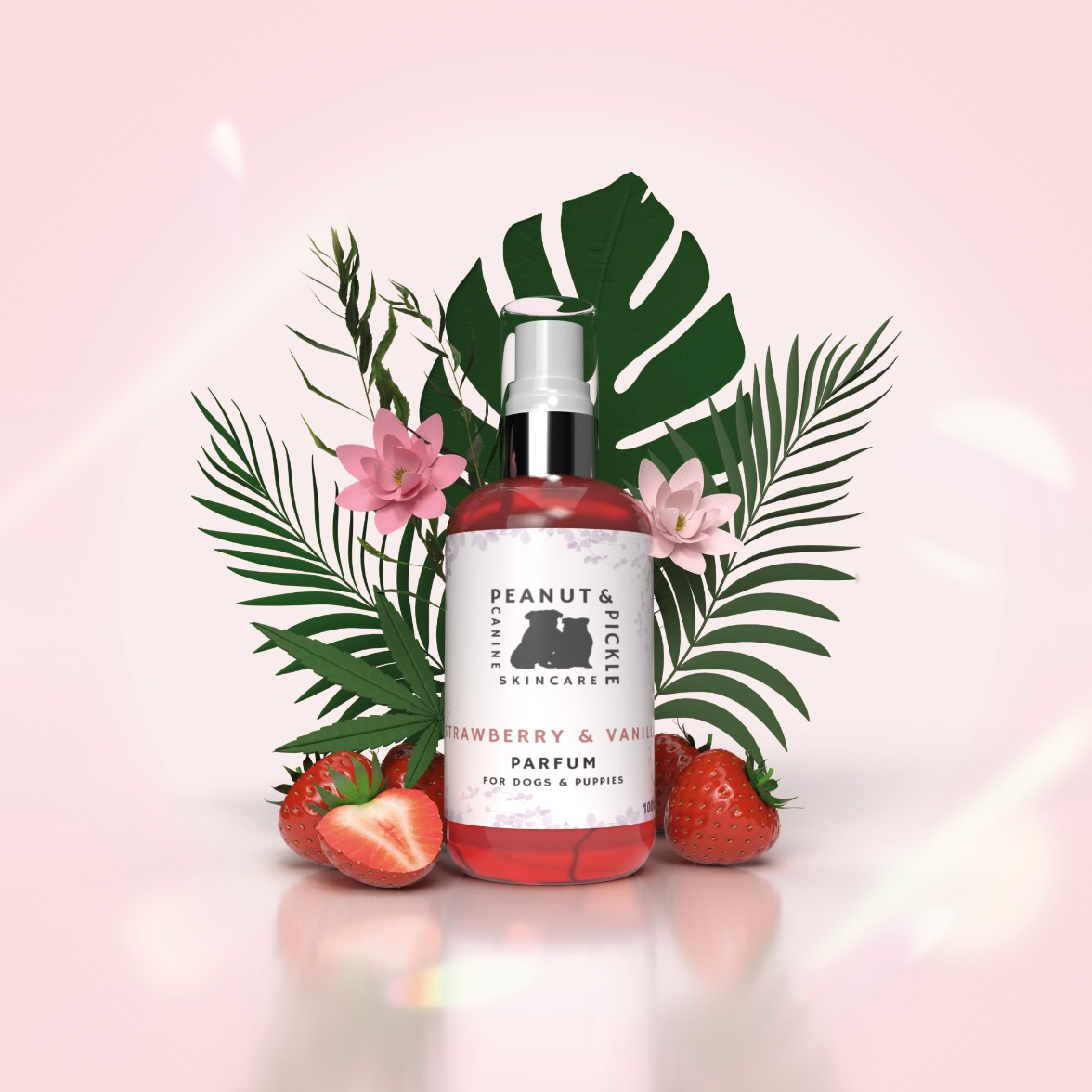 Dog Perfume Cologne | Alcohol Free | Vegan & Cruelty Free – Peanut and ...