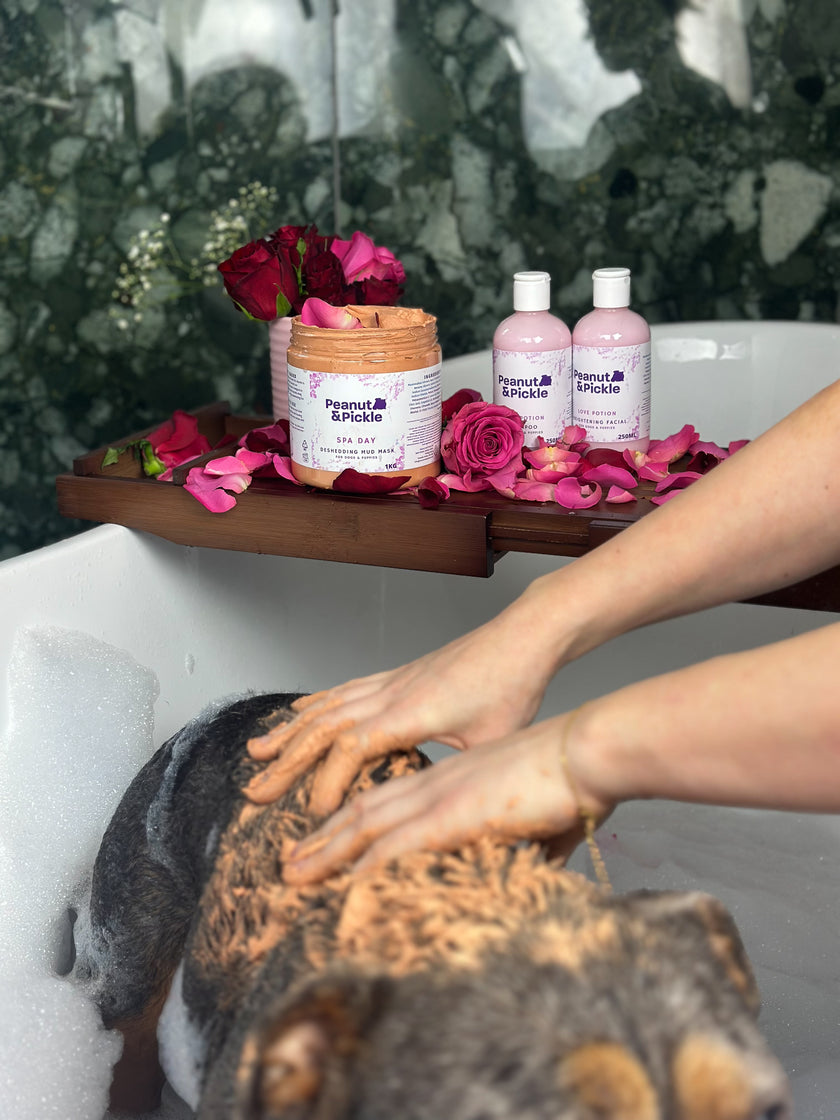 Buttered Popcorn | Dog & Puppy Perfume | 100ml – Peanut and Pickle